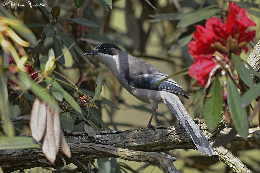 this winter is truly disgusteng - Gabe's corner. - FOTP